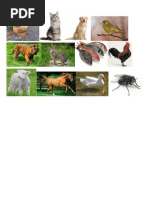 Phonemes /P/ /B/ /M | PDF