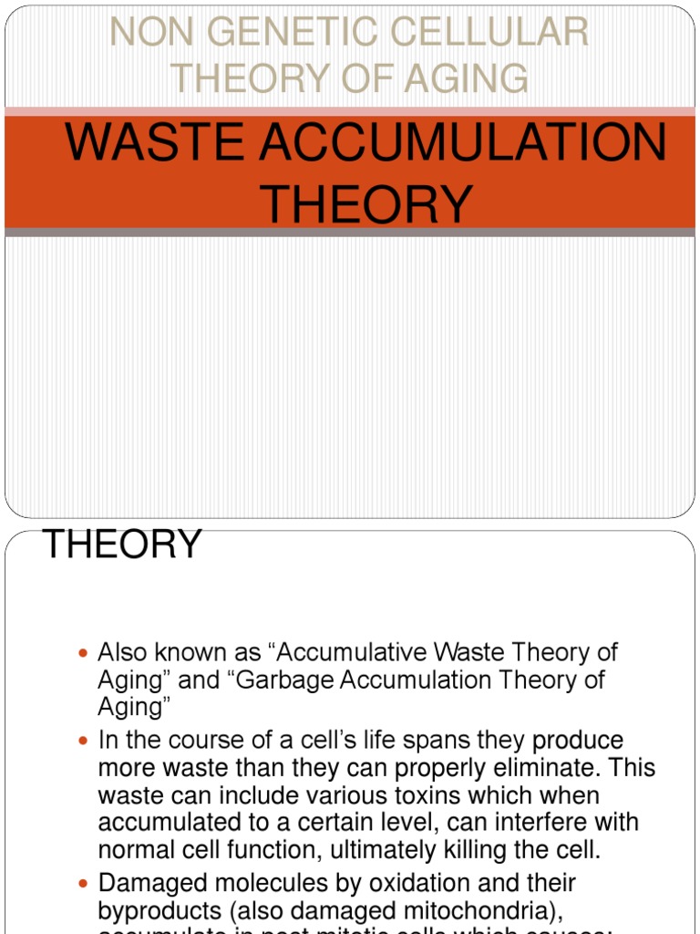 Waste Accumulation Theory of Aging | PDF