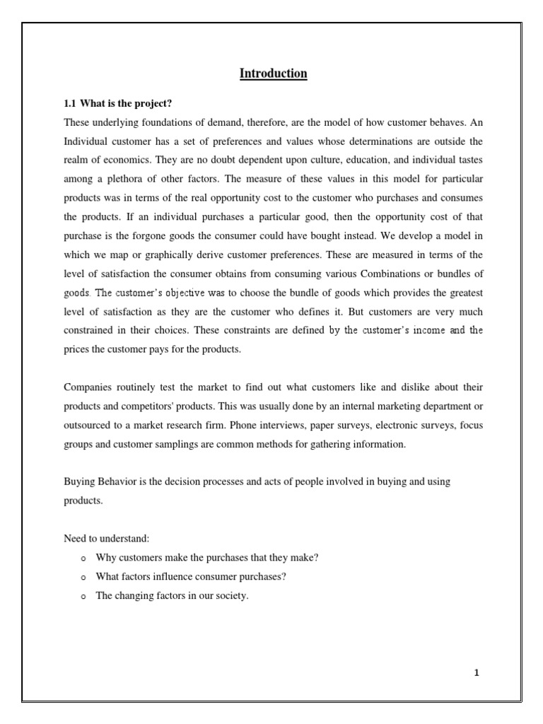 Sip Report | PDF | Customer Relationship Management | Behavior