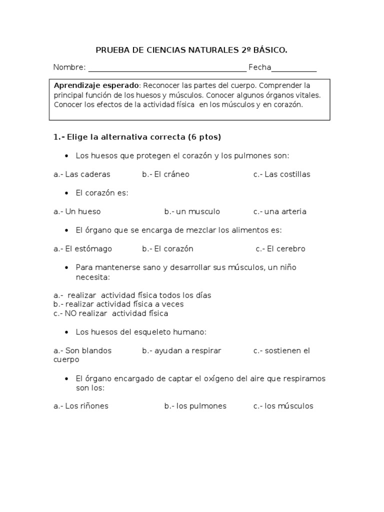 Prueba Unidad Cuerpo Humano 2º | PDF