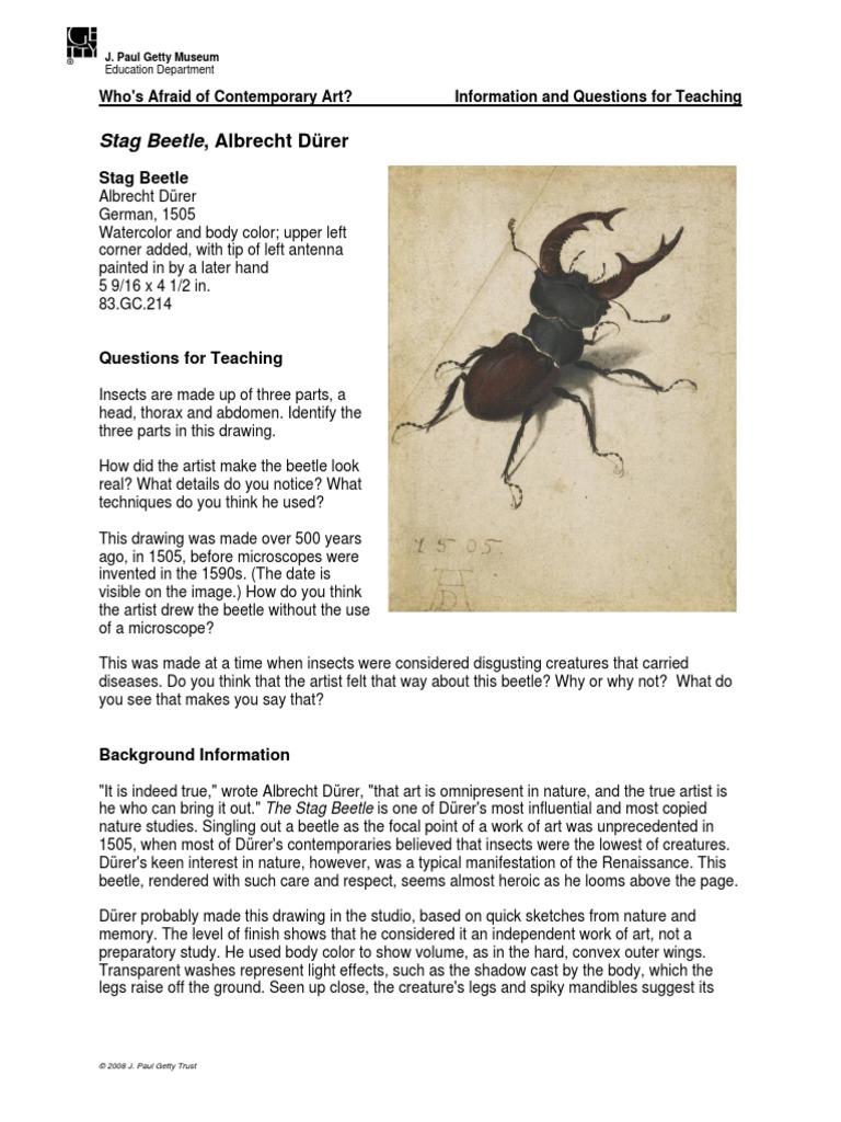 Stag Beetle, Albrecht Dürer | PDF | Albrecht Dürer | Woodcuts