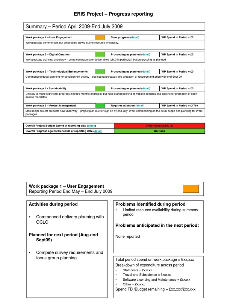 ERIS Project - Progress Reporting: Detail | PDF | Project Management | Budget