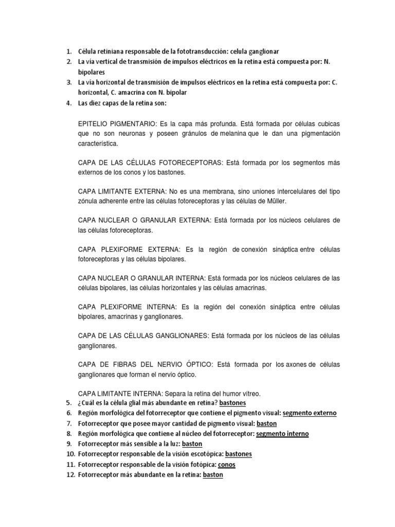 Fotorreceptores y Fototransducción en Retina | PDF | Percepción visual ...