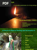 Coromandel | PDF | Fertilizer | Soil