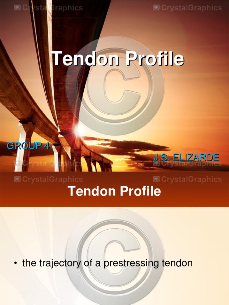 Tendon Profile and Arrangement Guide | PDF | Home & Garden | Science ...