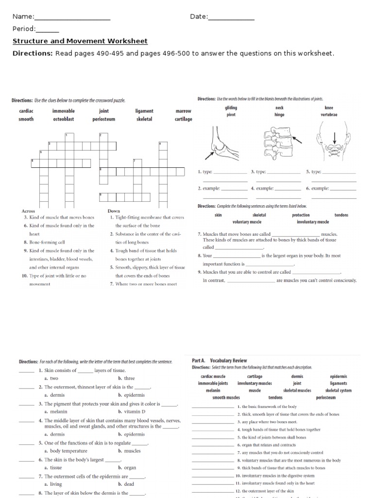 Structure and Movement Worksheet Guide | PDF