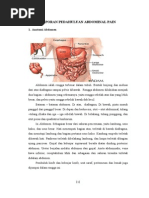 LP Abdominal Pain-1 | PDF