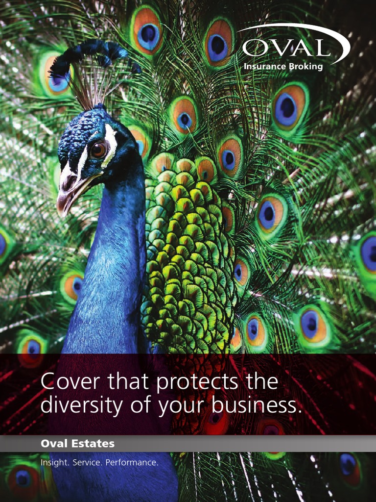 Oval Estate Management Insurance Brochure | PDF | Property Management ...