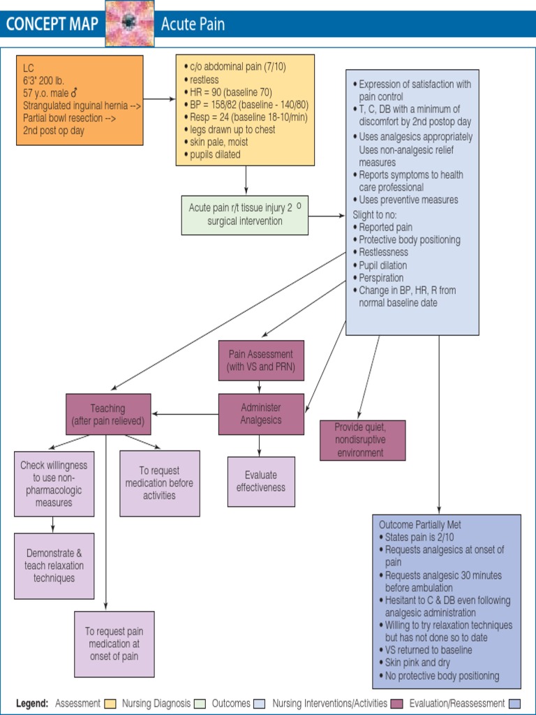 Acute Pain Concept Map for Nursing | PDF | Pain | Pain Management