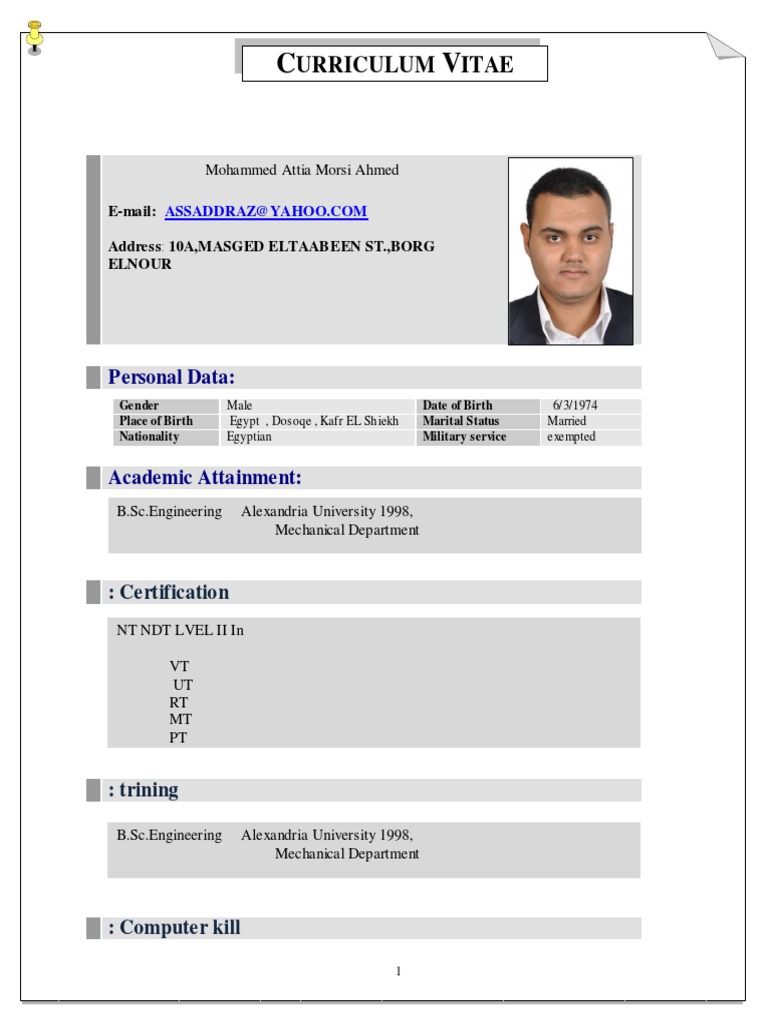 Urriculum Itae: Personal Data | PDF