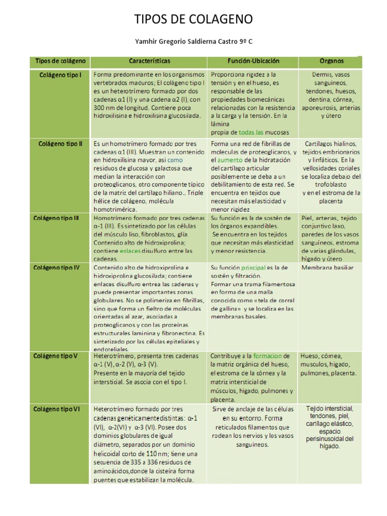 Tipos de Colágeno: Guía Completa | PDF
