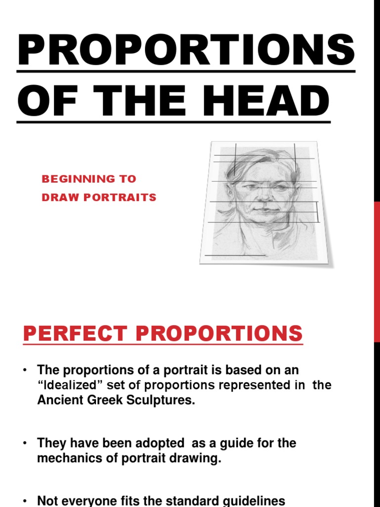Proportions of The Head | PDF