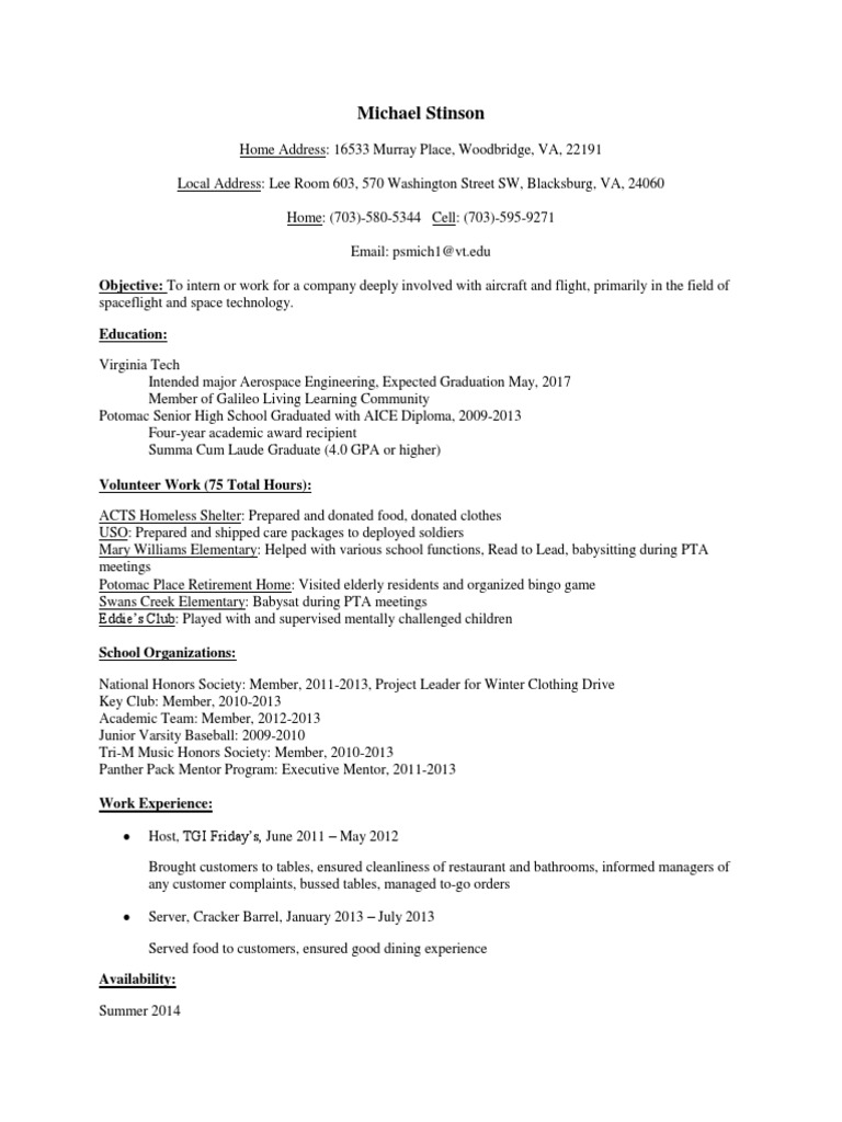 Michaels Resume | PDF