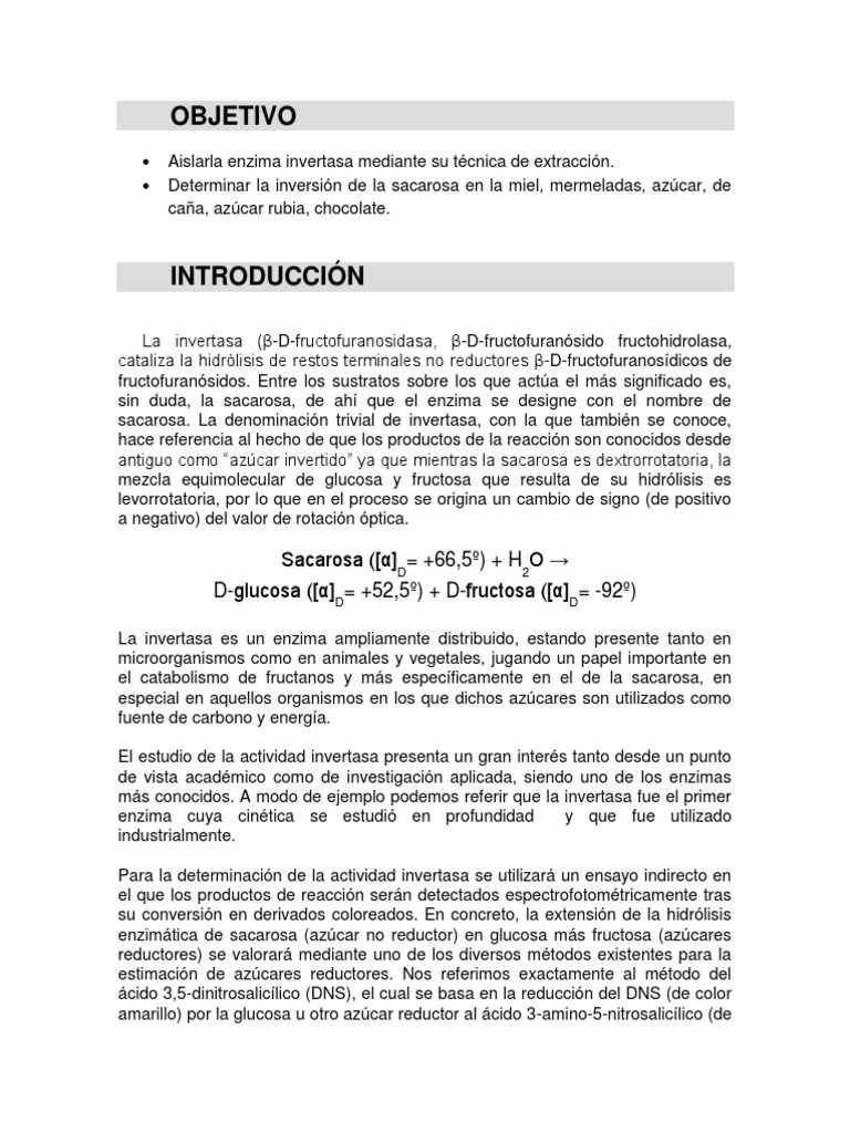 Enzima Invertasa | PDF | Enzima | Sacarosa