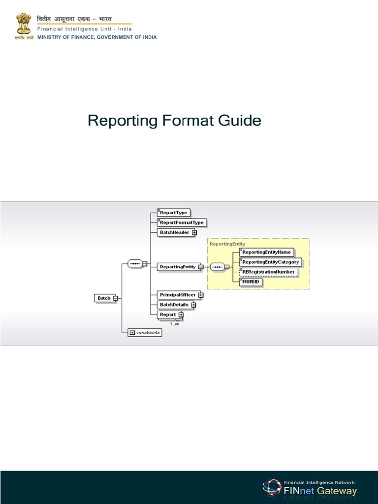 Reporting Format Guide Version 2.0 | PDF | Xml | Xml Schema