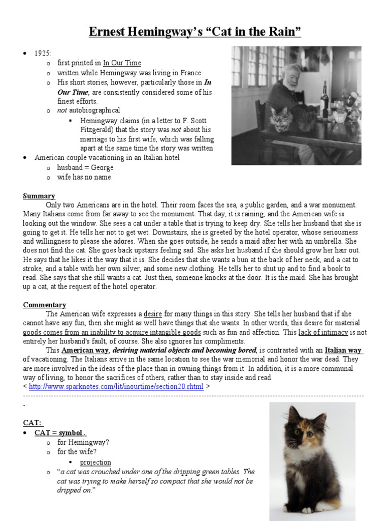 Cat in The Rain Ernest Hemingway Notes | Cat Types | Felis