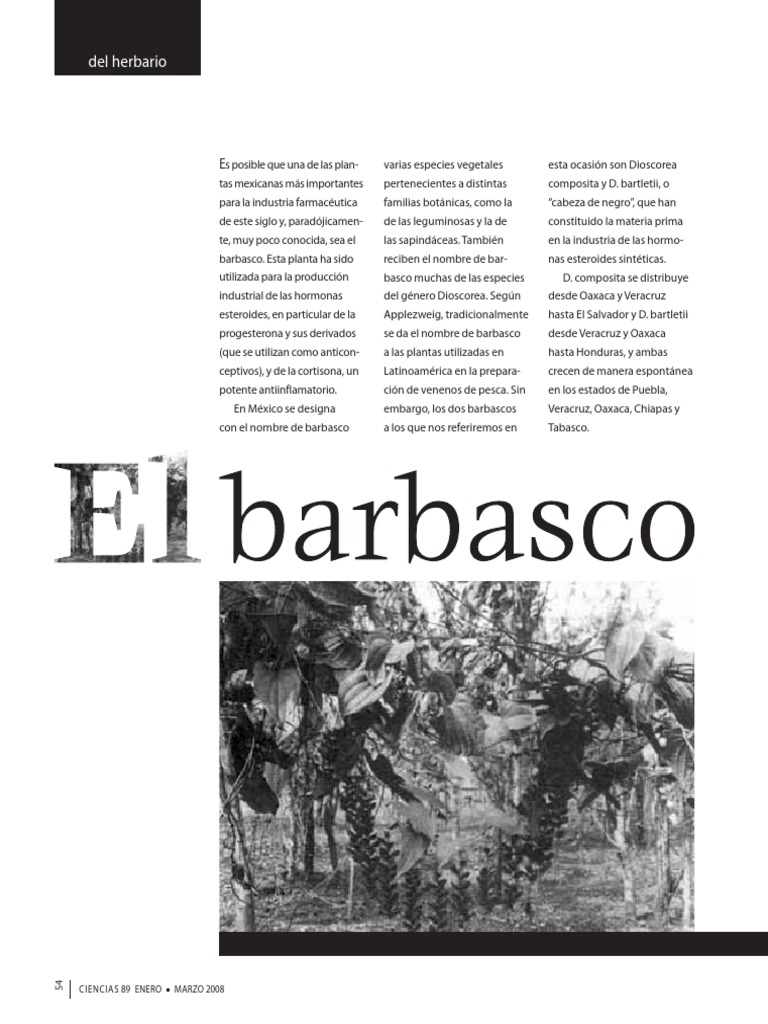 El Barbasco | PDF | Progesterona | México
