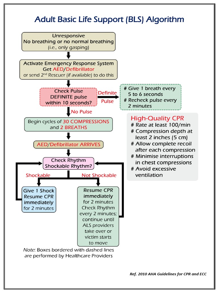 BLS Algorithm | PDF | Cardiopulmonary Resuscitation | Clinical Medicine