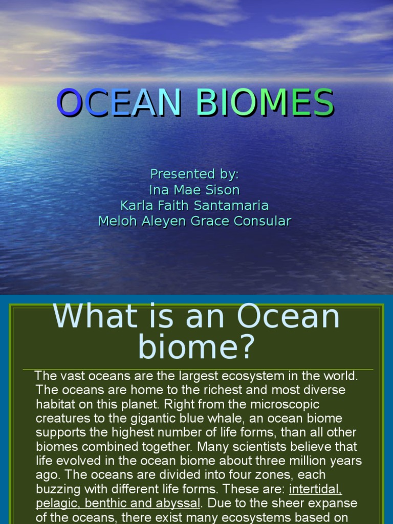 Ocean Biomes | Oceans | Marine Biology