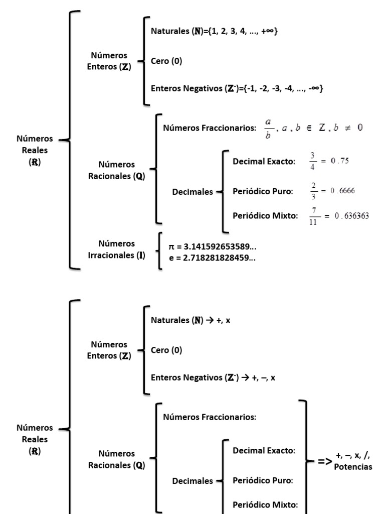 Lamina Clasificacion Numeros Reales | PDF | Número Real | Número racional