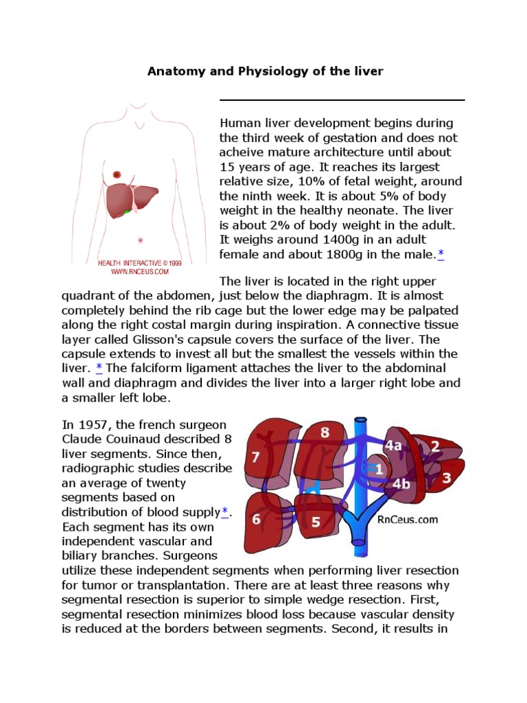 Anatomy and Physiology of The Liver | PDF | Lipoprotein | Liver