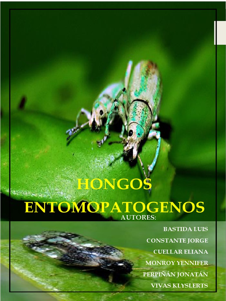 HONGOS ENTOMOPATÓGENOS (Libro Klyslerts) | PDF | Plaga (organismo ...