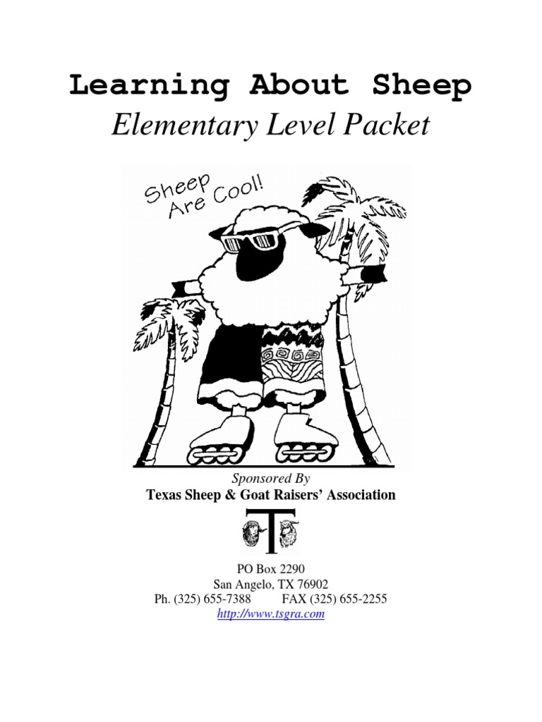 Elementary Level Packet: Learning About Sheep | PDF | Sheep | Wool