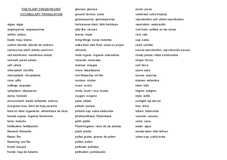 The Plant Kingdom Vocabulary | PDF