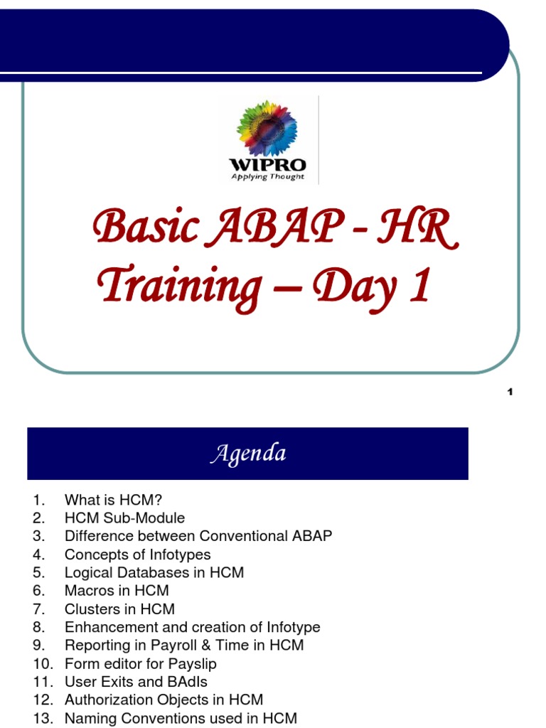 Basic HR ABAP Training - Day 1 | PDF | Databases | Subroutine