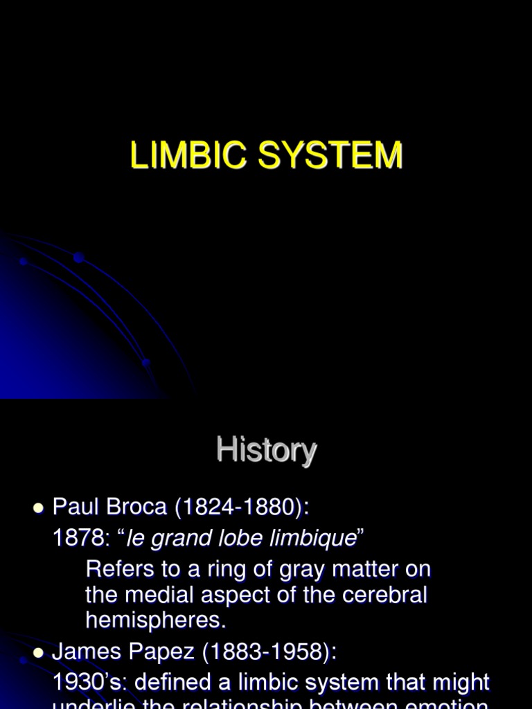 Limbic System | PDF | Limbic System | Amygdala