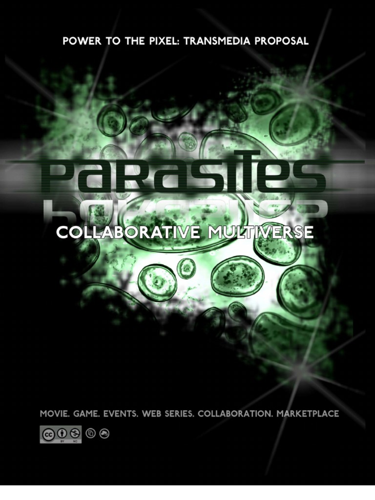 Groundbreaking Transmedia Project Proposal | PDF | Audience | World ...