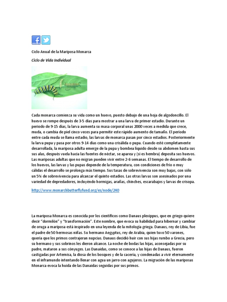 Ciclo de Vida de la Mariposa Monarca | PDF | Lepidópteros | Crisálida