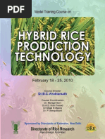 Agricultural Sciences NSC P2 Memo Nov 2022 Eng | PDF | Plant Breeding | Heritability