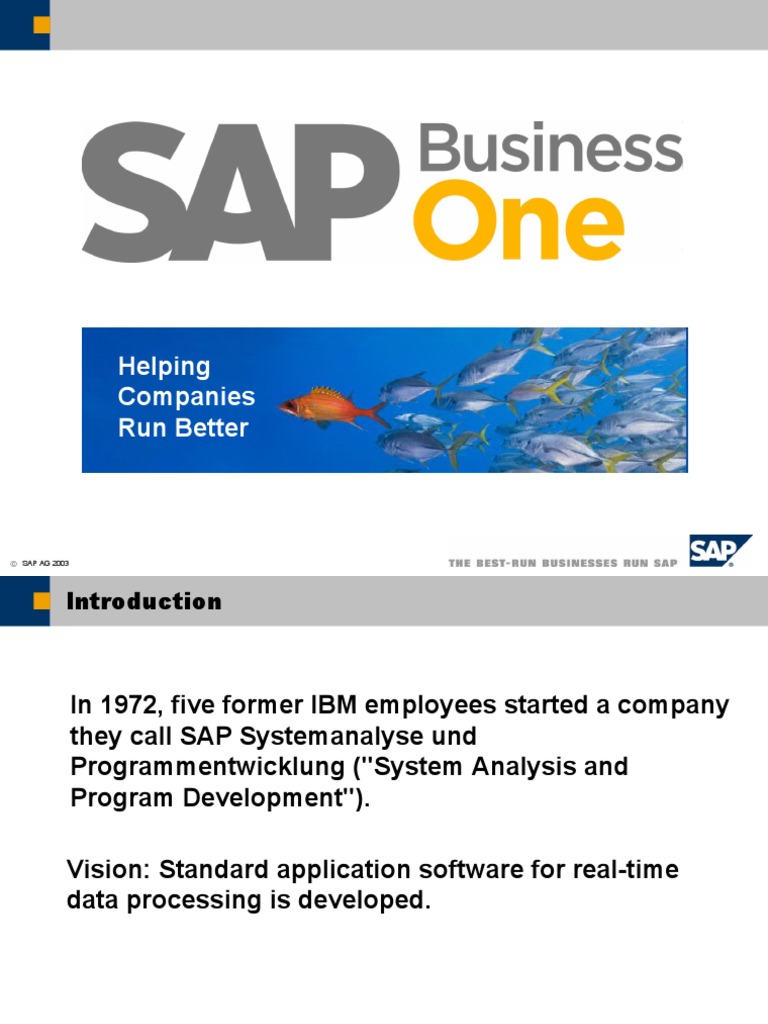 01 - Fundamentals of SAP Business One - Revised | PDF | Sap Se | Supply ...