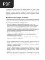 FRUTENZIMA: Usos y Beneficios Clínicos | PDF | Páncreas | Órgano (anatomía)