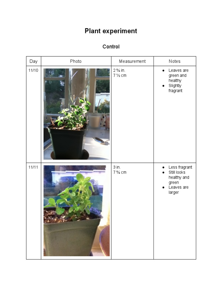 Plant Experiment Photos and Notes 1-4 - Google Drive | PDF | Plants ...