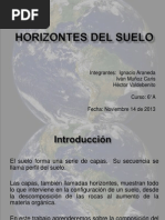 LITOSOLES | PDF | Suelo | Roca (geología)