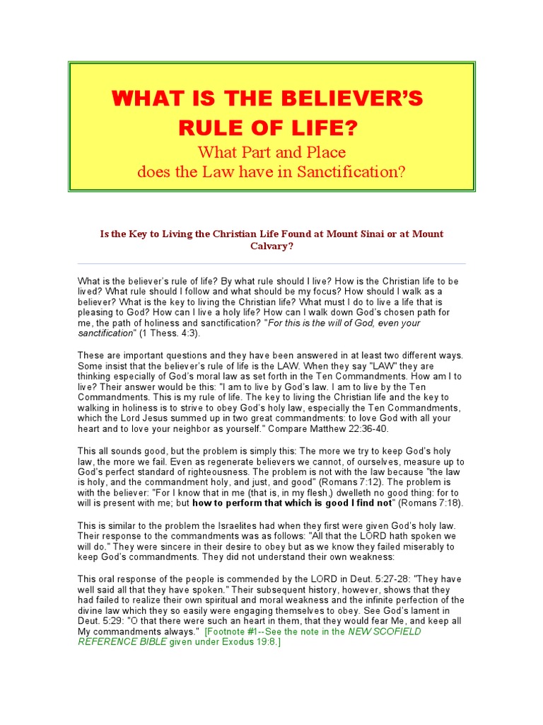 What Is The Believer | PDF | Sanctification | Grace In Christianity