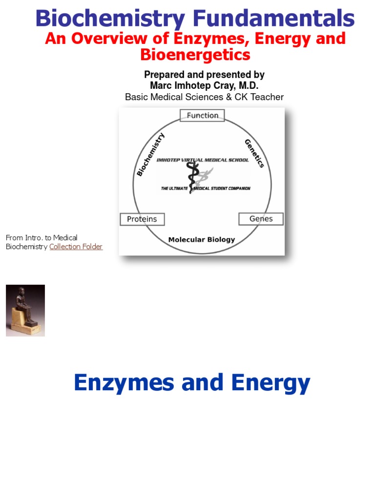 Enzymes and Bioenergetics Overview | PDF | Enzyme | Cofactor (Biochemistry)