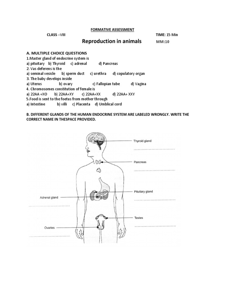Reproduction in Animals: A. Multiple Choice Questions | PDF