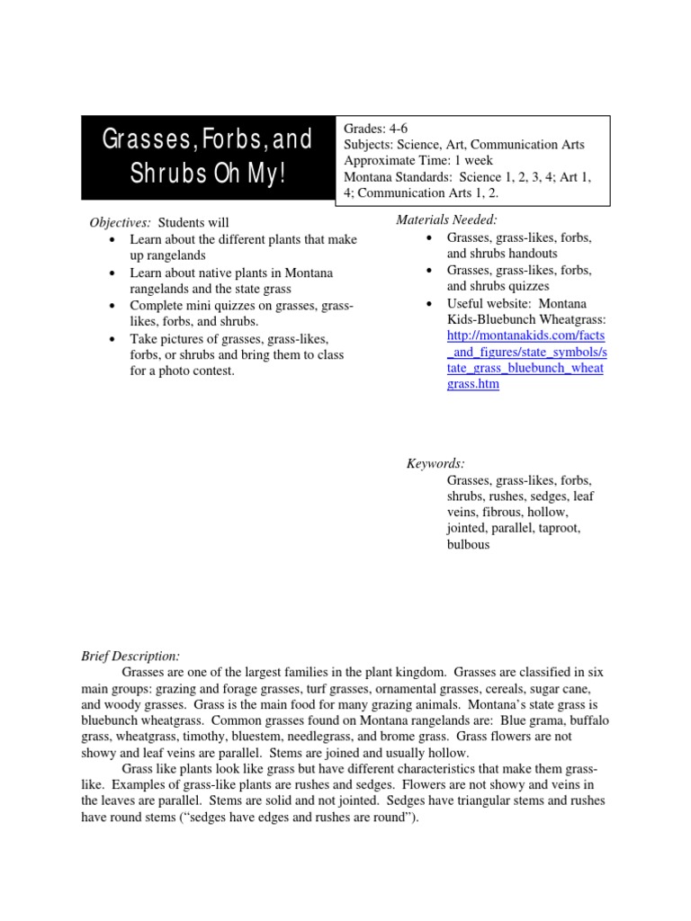 Grasses, Forbs, and Shrubs | PDF | Shrub | Leaf