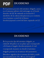 Anatomia Del Duodeno | PDF | Abdomen | Órgano (anatomía)