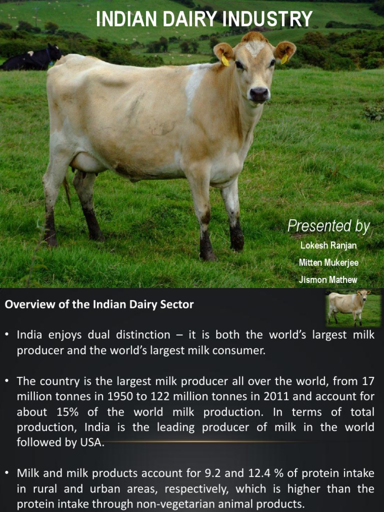 Dairy Presentation | PDF | Dairy Farming | Dairy