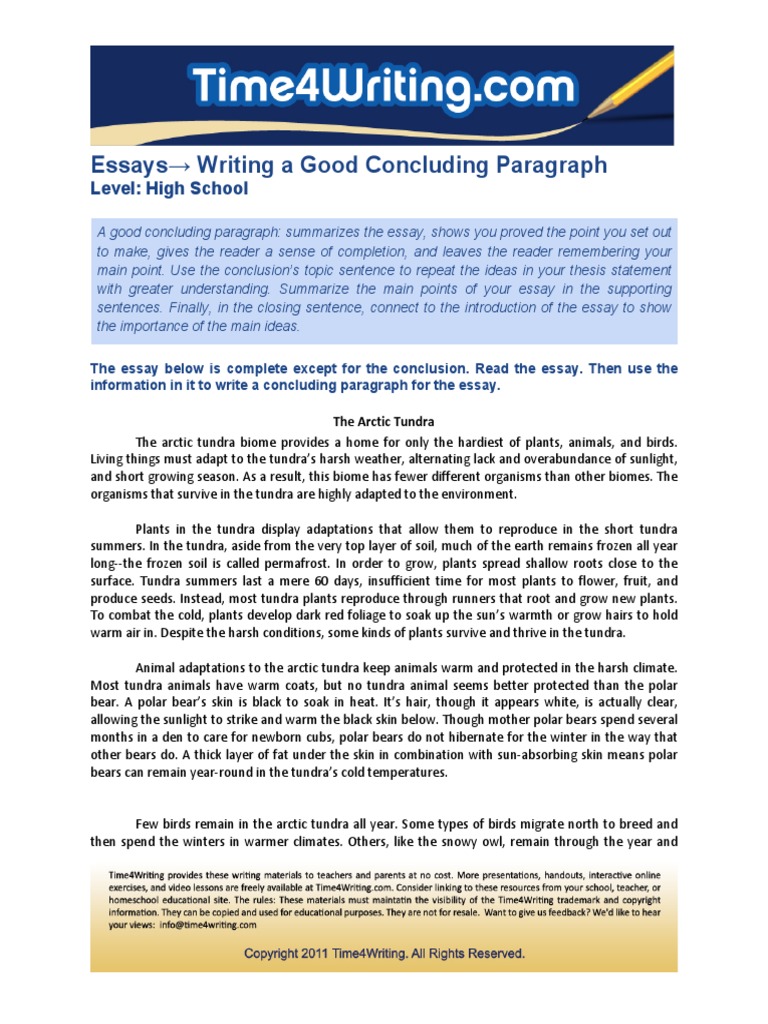 Writing Effective Essay Conclusions | PDF | Polar Bear | Arctic