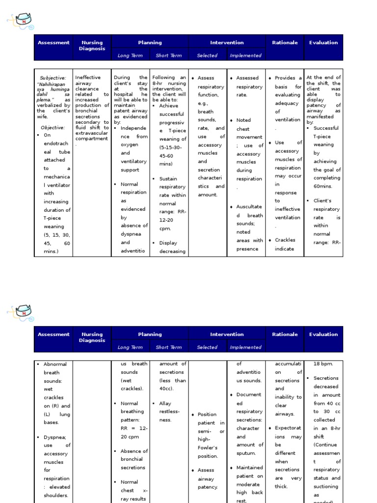 Nursing Care Plan: Airway Clearance | PDF | Breathing | Respiratory Tract