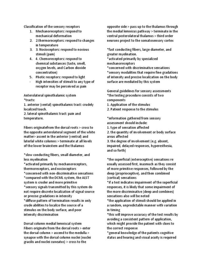 Sensory Assessment Somatosensory System Senses