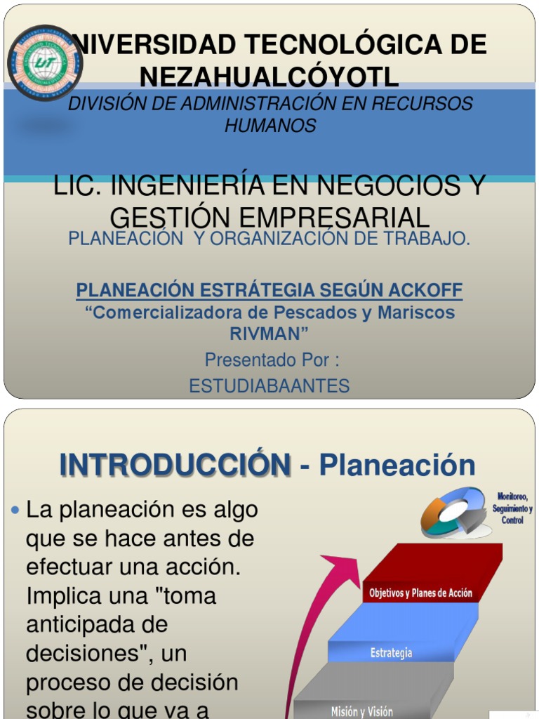 Planeacion Ackoff | Descargar gratis PDF | Planificación | Calidad ...