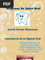 Rotafolio Salud Bucal | PDF | Diente | Odontología