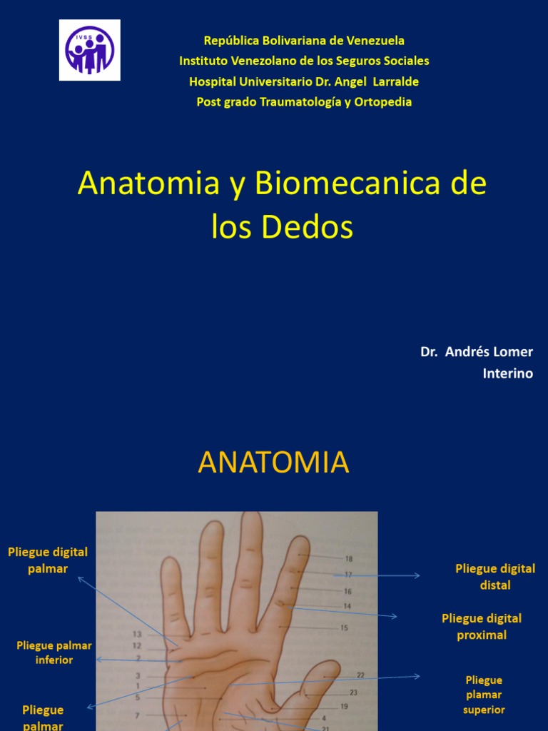 Anatomía y Biomecánica de los Dedos | PDF | Tejido suave | Mano