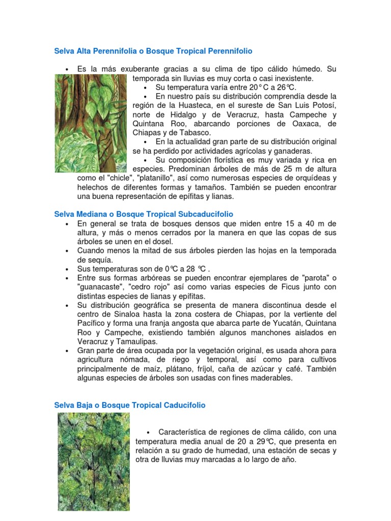 Biomas de Durango: Diversidad Ecológica | PDF | Selva | Desierto